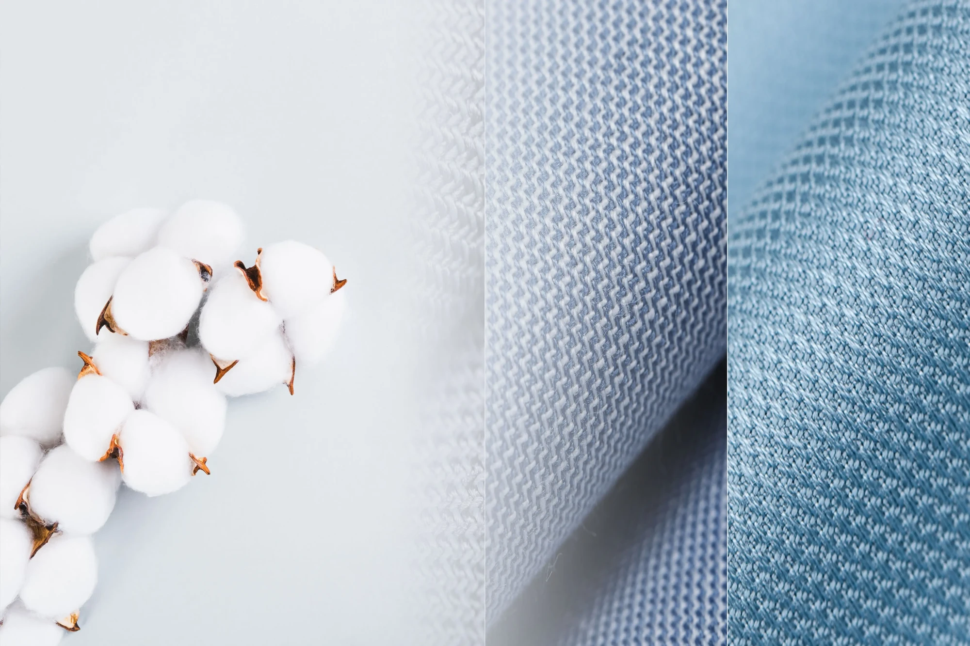 What is Fine Cotton, Super Fine Cotton and Ultra Fine Cotton? - Ilyn Blog